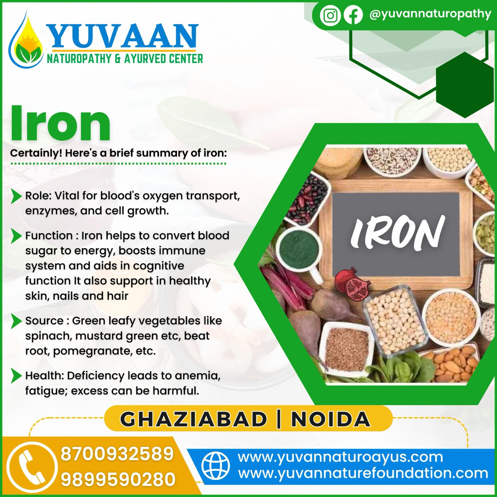 Iron | Health Benefits of Iron - Yuvaan Nature Foundation